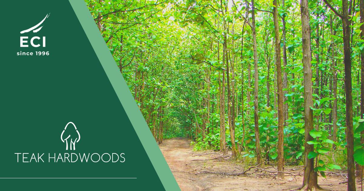 Download Teak Resource Guide | ECI Development